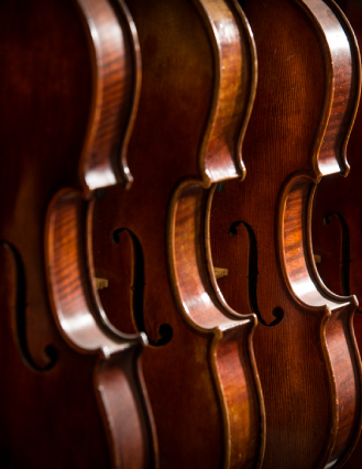 Triangle Strings | Violin, Viola, Cello: Rentals, Repairs, Sales