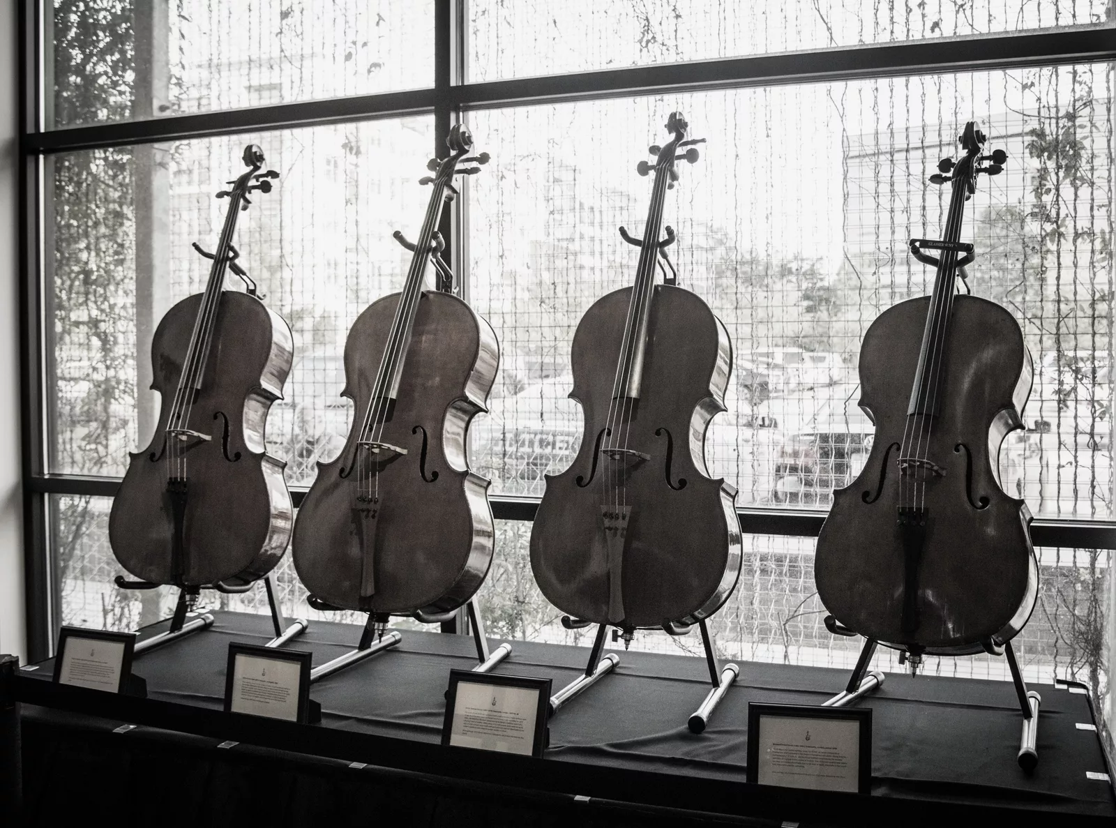 cellos – Triangle Strings